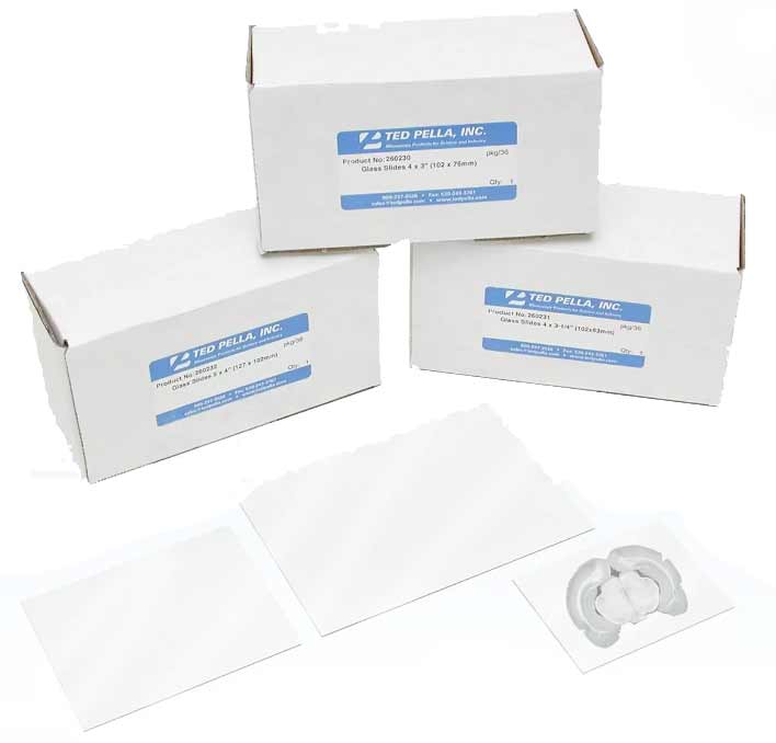 Large Glass Microscopic Slides 127mm x 102mm (Pack of 36) - Slides ...
